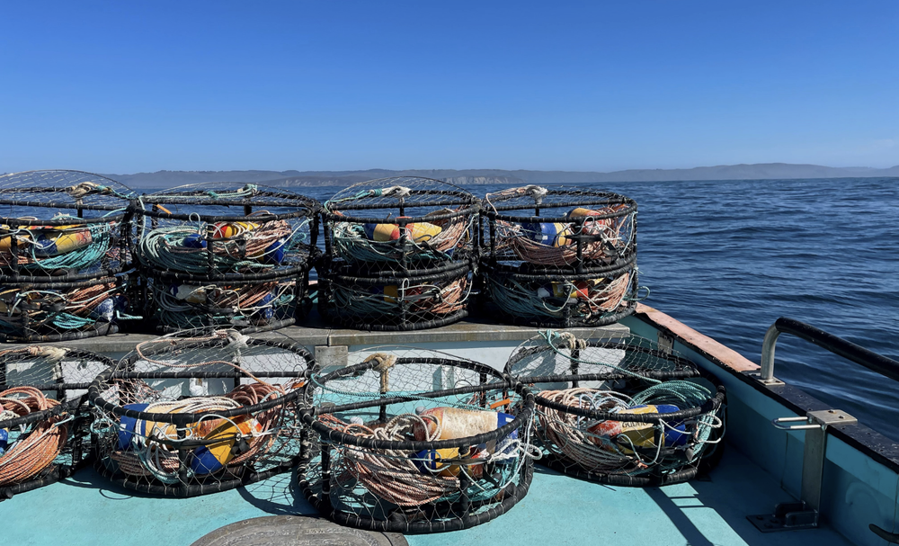 Our Markets — Blue Ocean Gear