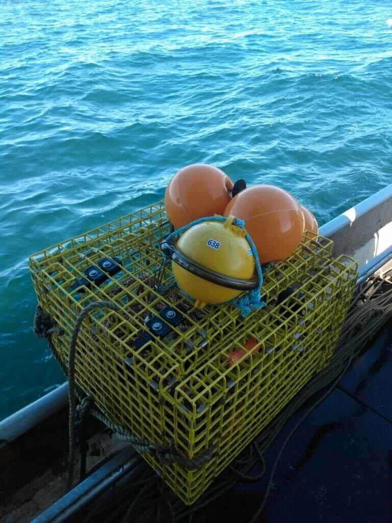 Our Markets — Blue Ocean Gear