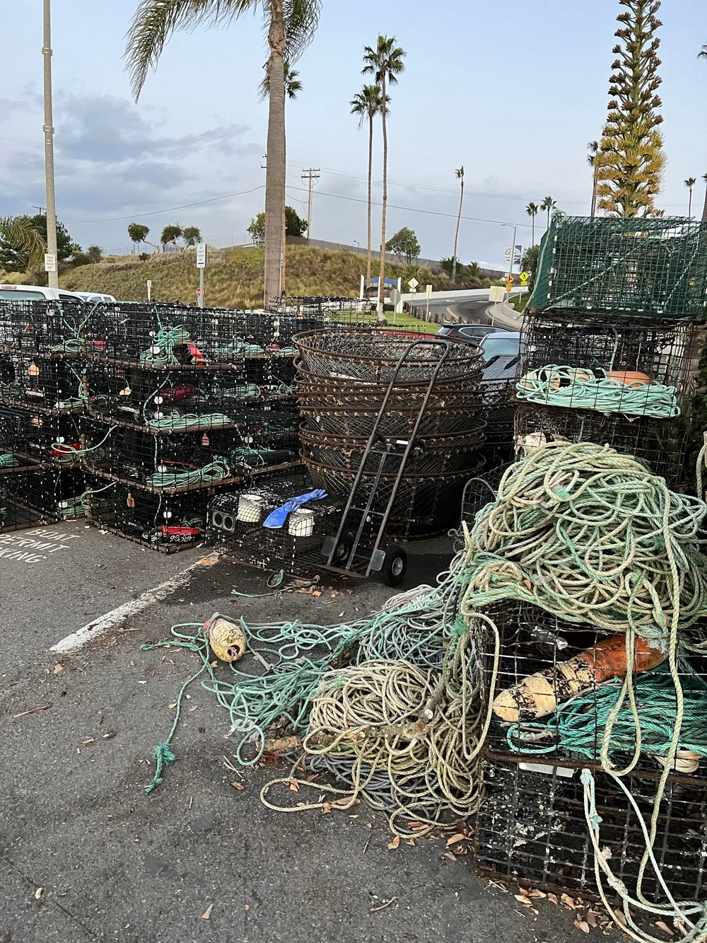 Impact — Blue Ocean Gear