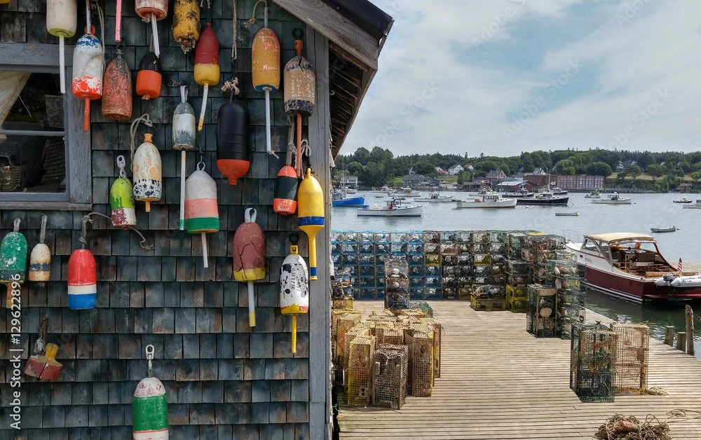 Resources — Blue Ocean Gear