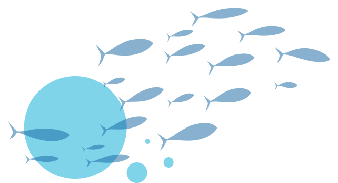 About Us — Blue Ocean Gear