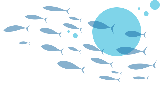 Resources — Blue Ocean Gear