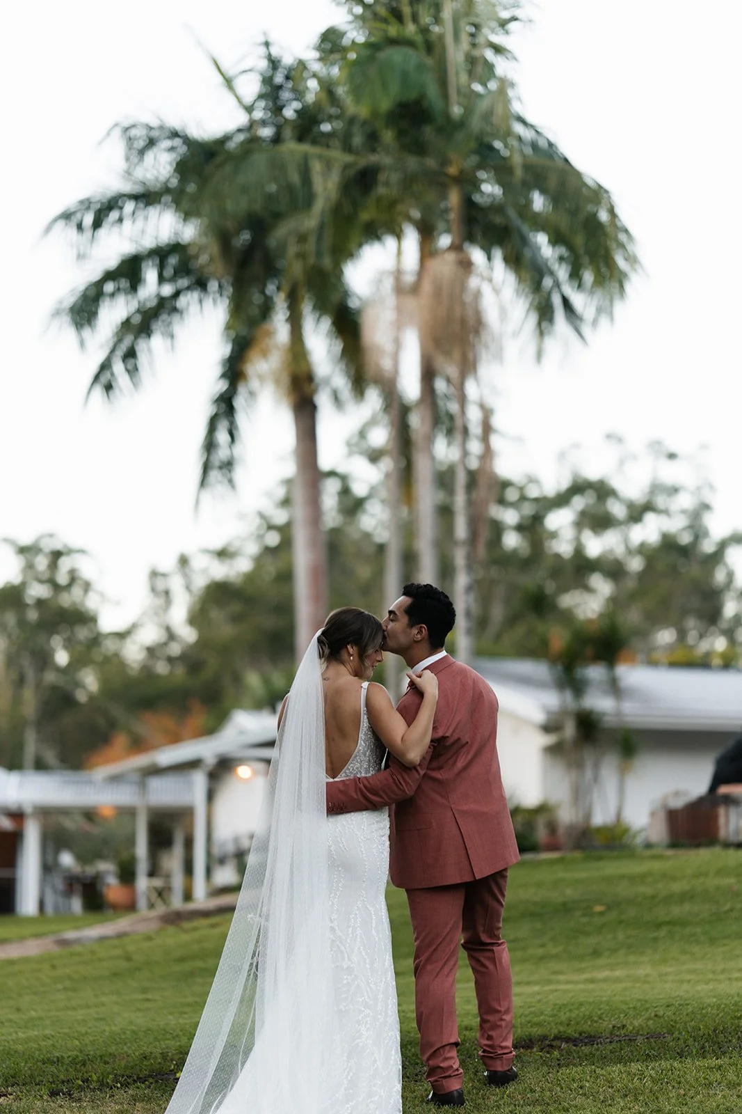 Gallery — Tall Trees