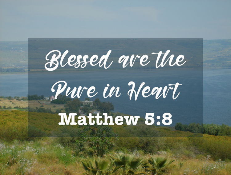 Blessed Are the Pure in Heart: Understanding the Path to Seeing God ...