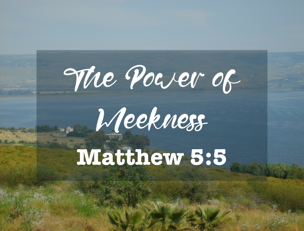 The Power of Meekness: A Deeper Look at Matthew 5:5 — Shepherd Thoughts