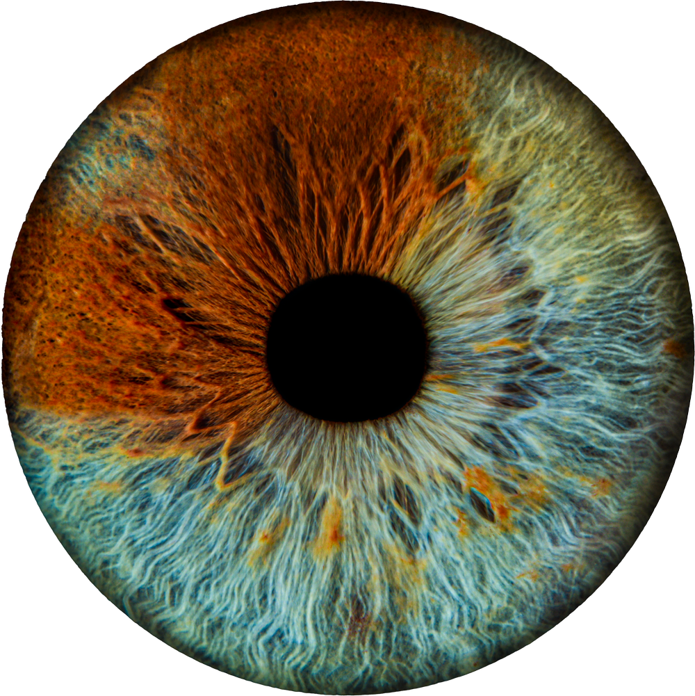 Uniqueye Iris Photography