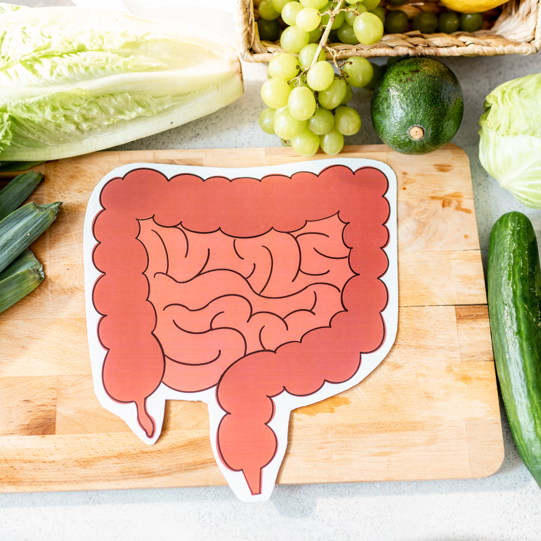 12 Common Symptoms of Leaky Gut & How to Heal It — Dr. McKenzy Brewer, DC