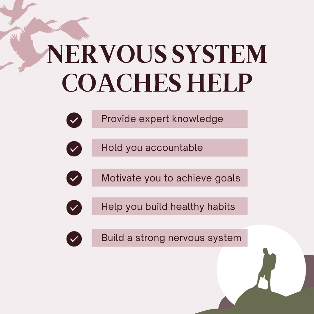 Why a Nervous System Coach Might Be the Missing Piece in Your Burnout ...