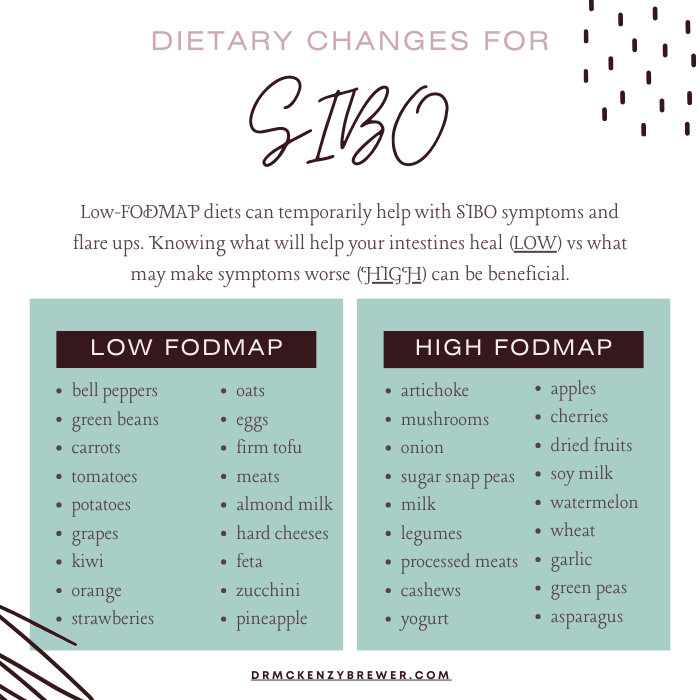 Navigating SIBO: Understanding, Testing, and Dietary Strategies — Dr ...