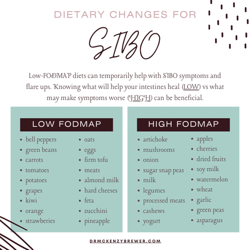 Navigating SIBO: Understanding, Testing, and Dietary Strategies — Dr ...