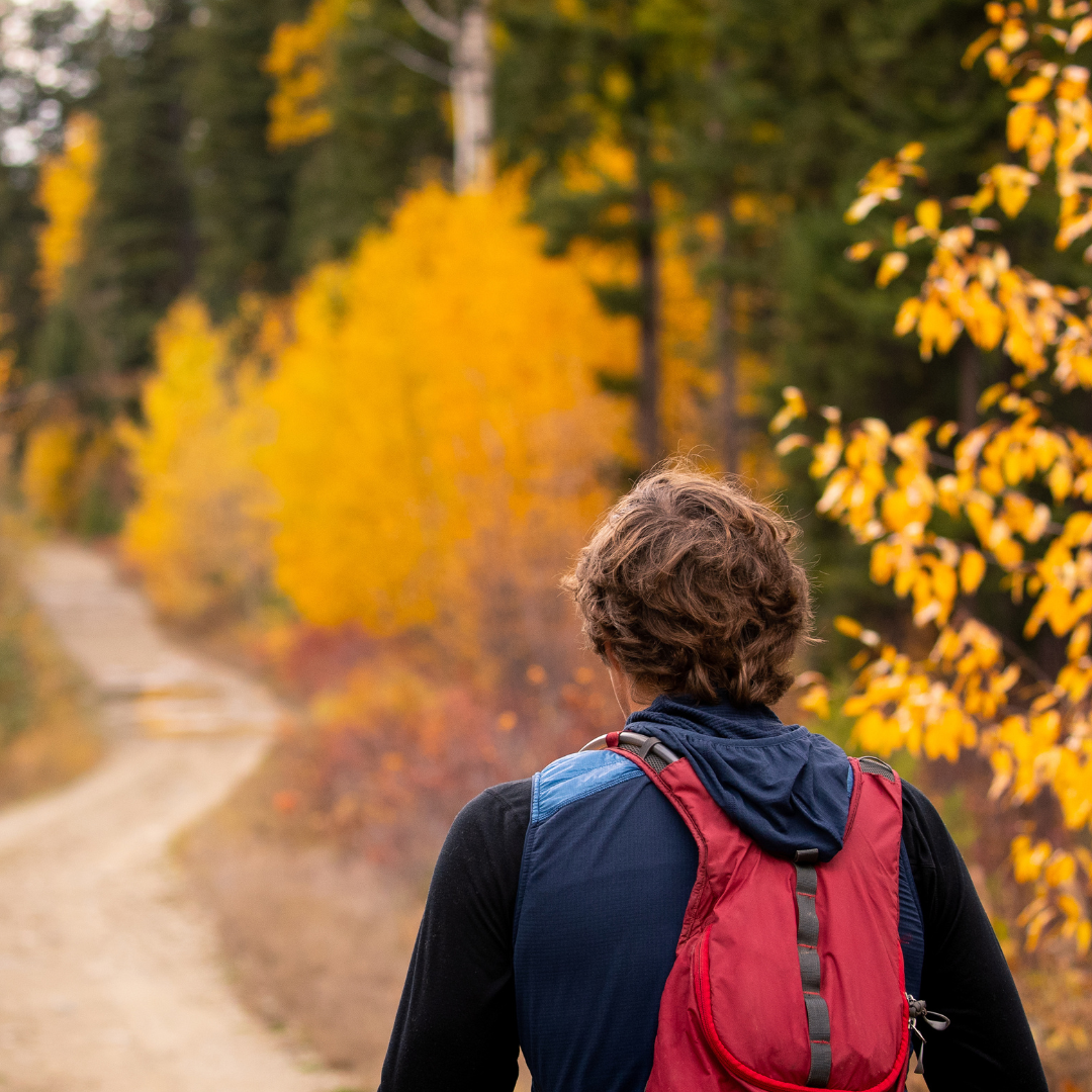 Stay Fit and Healthy with These 11 Essential Fall Wellness Tips — Dr ...