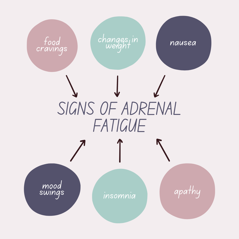 Signs of Adrenal Fatigue: Common Symptoms — Dr. McKenzy Brewer, DC