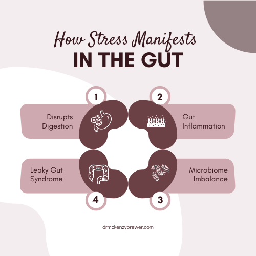 Stress and Gut Health: A Deep Dive — Dr. McKenzy Brewer, DC