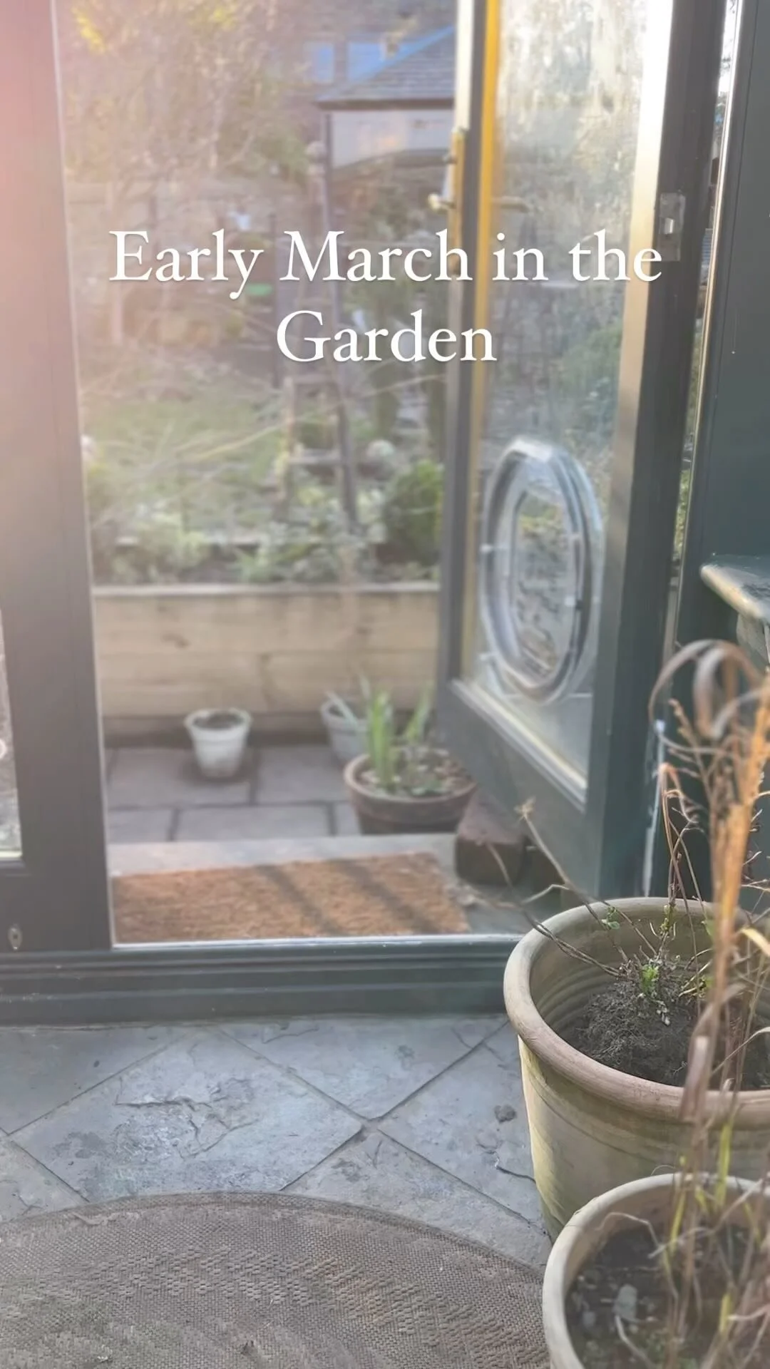 Joy in the March Garden — joyful garden