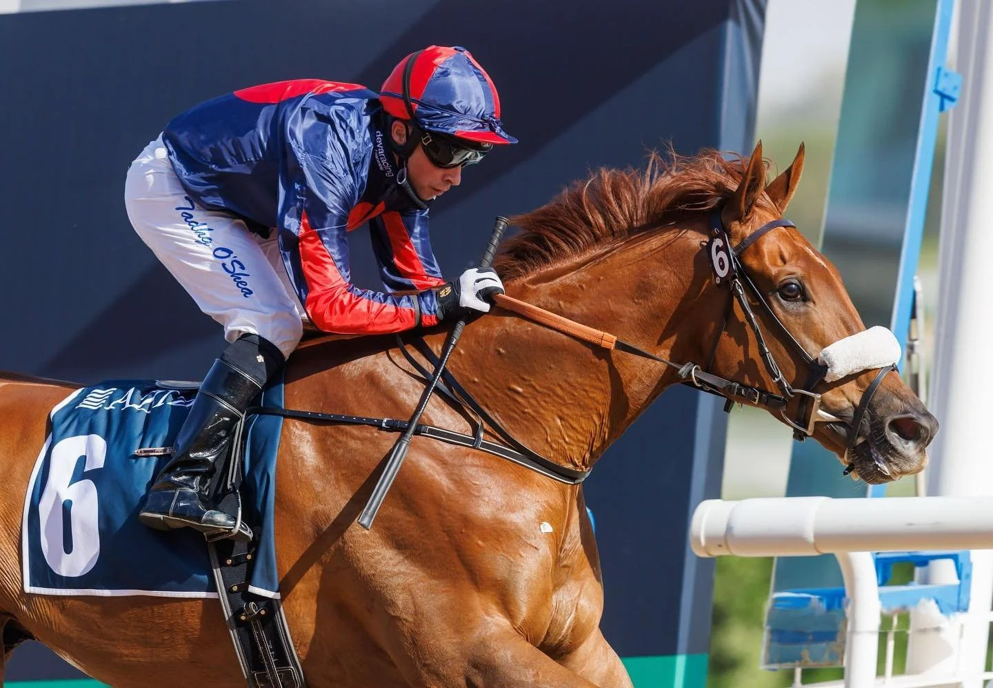 Horse Racing Entries & Declarations — Deva Racing