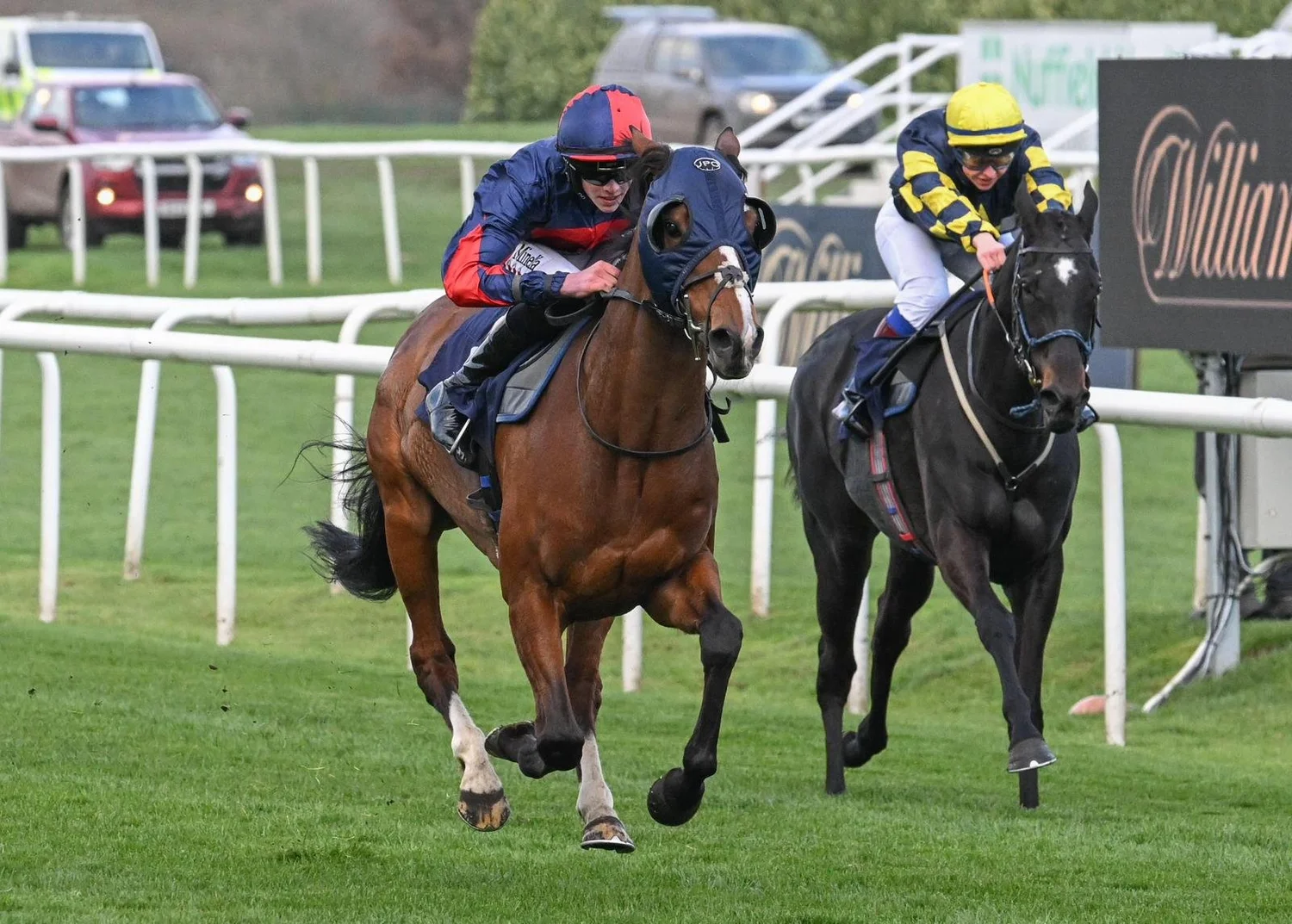 Horses in Training — Deva Racing