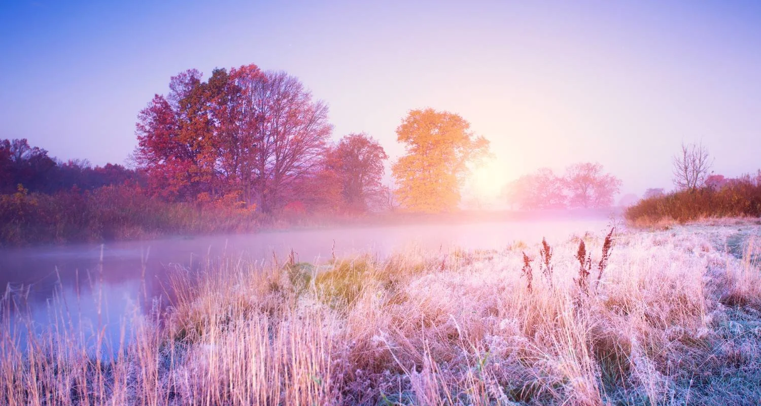 Landscaping Projects To Tackle This November In Calgary — Rocky ...