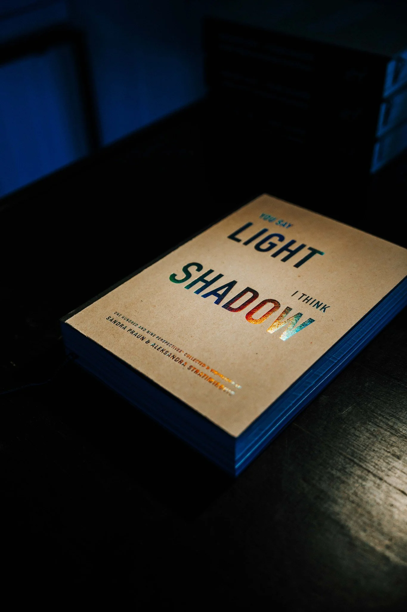 “You Say Light, I Think Shadow” — SAV Digital Environments