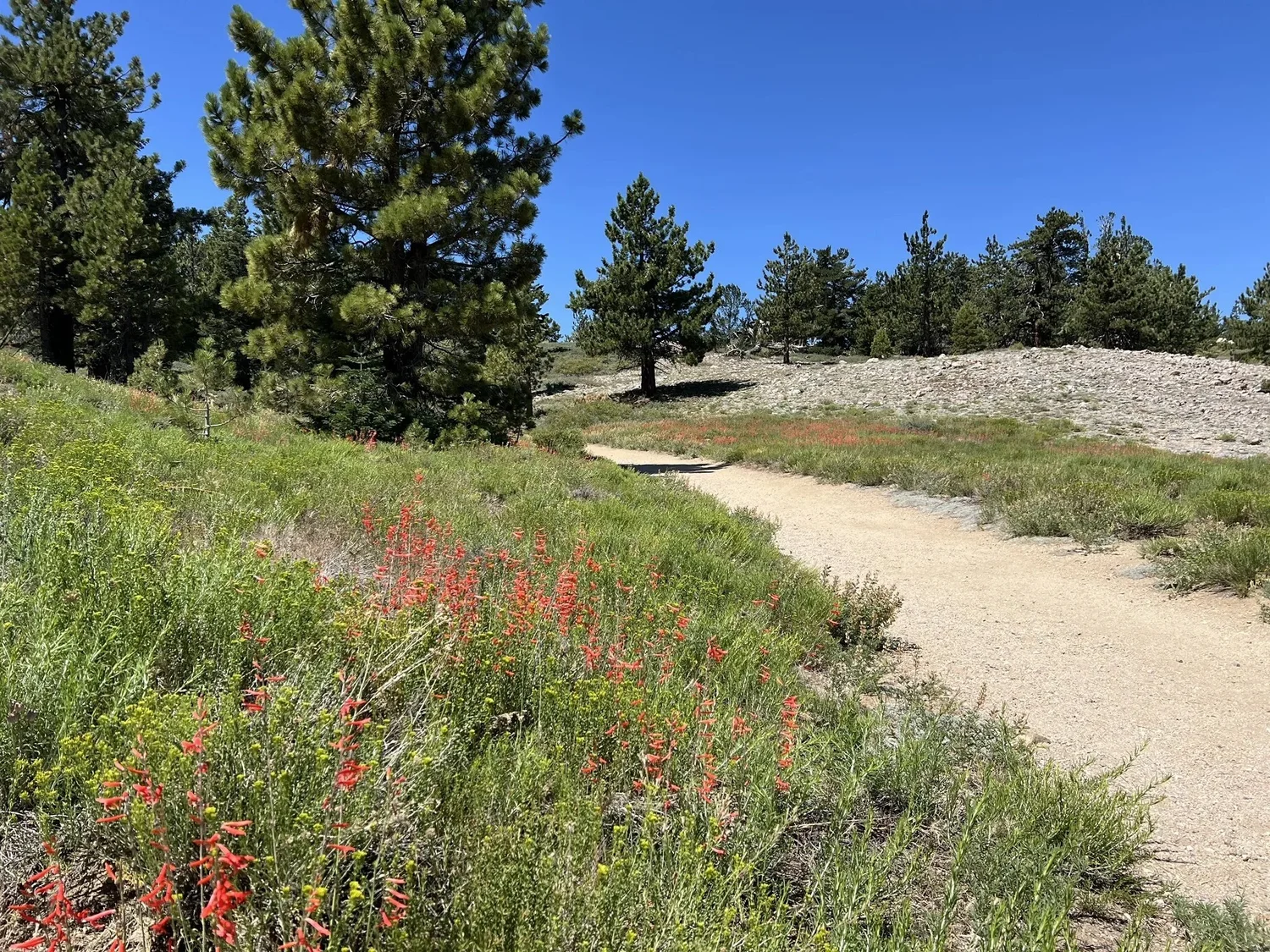 Explore the Frazier Park Area — Mountain Memories