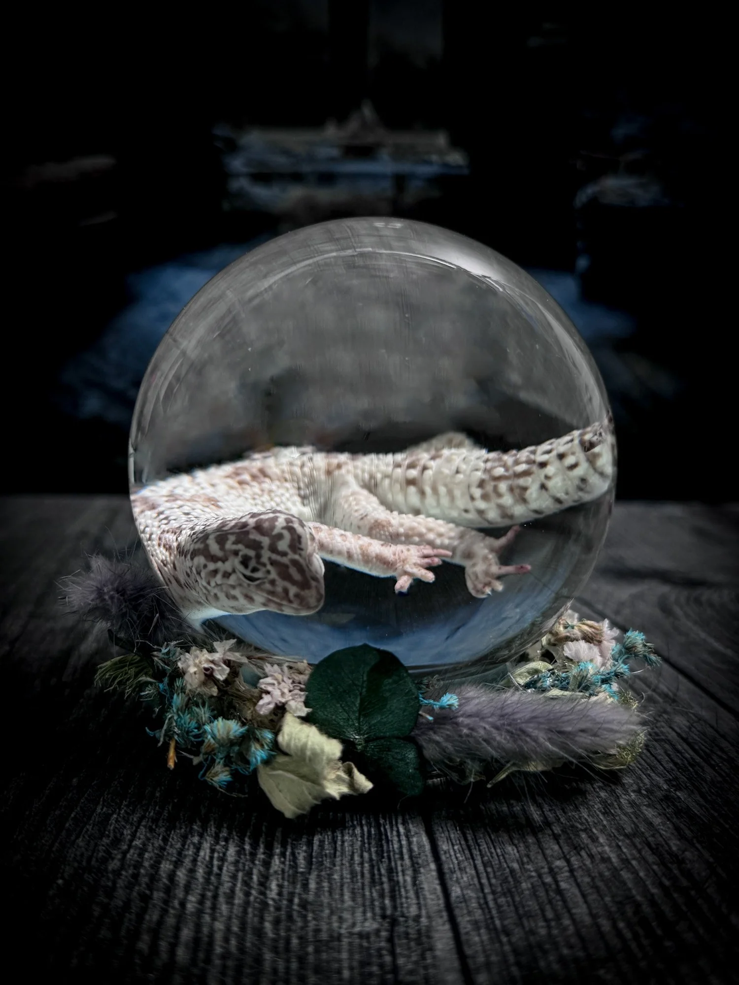 Custom Pet Memorial Services — Haunted Attic