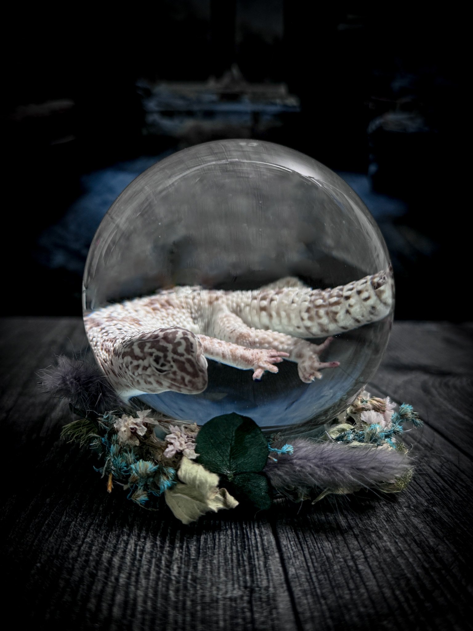 Custom Pet Memorial Services — Haunted Attic