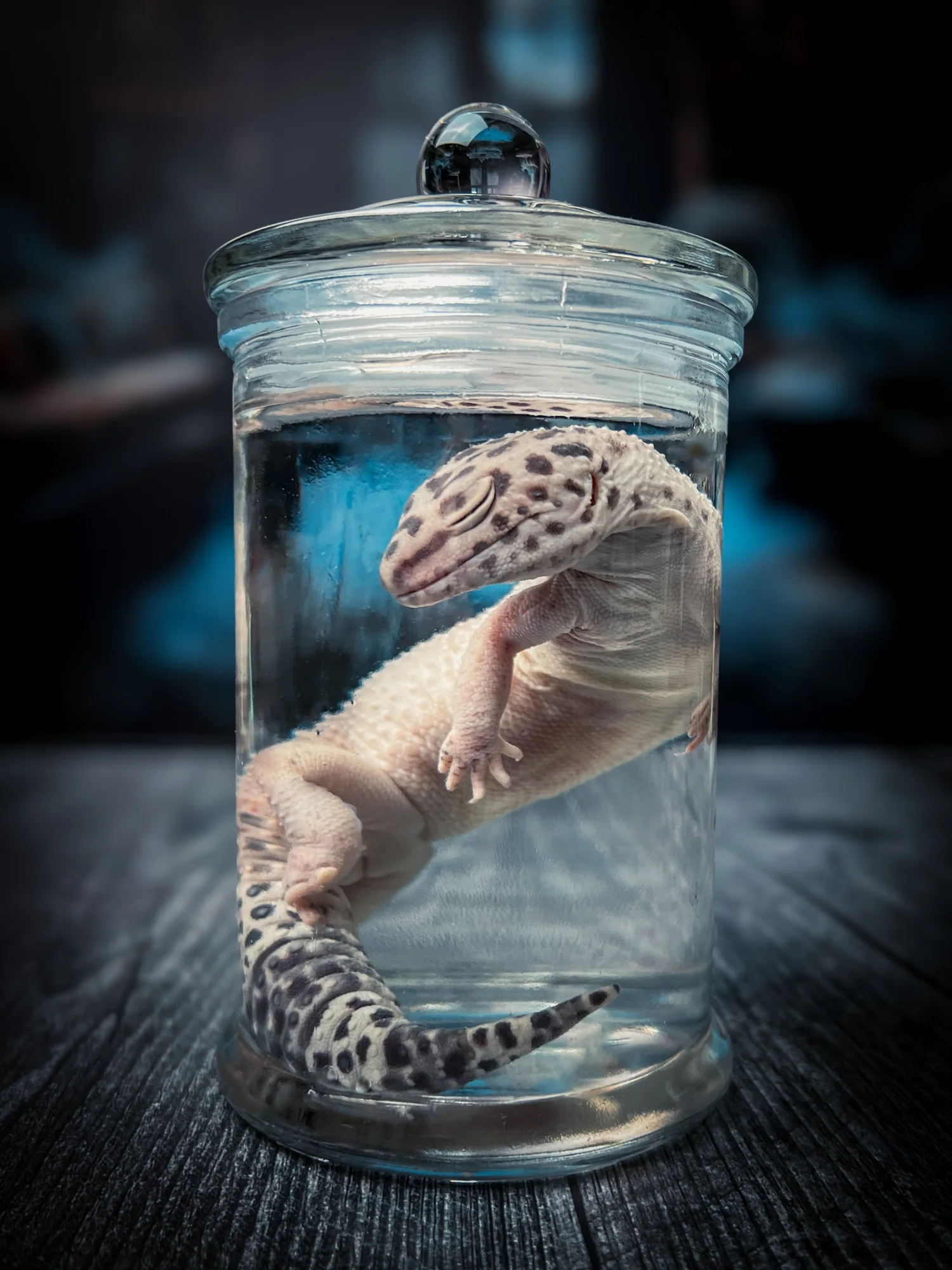 Custom Pet Memorial Services — Haunted Attic