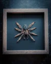 Custom Pet Memorial Services — Haunted Attic
