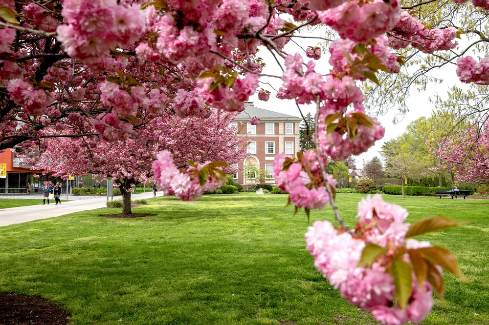 Top 10 Things You Can Do at Adelphi University | First-Year Viewbook