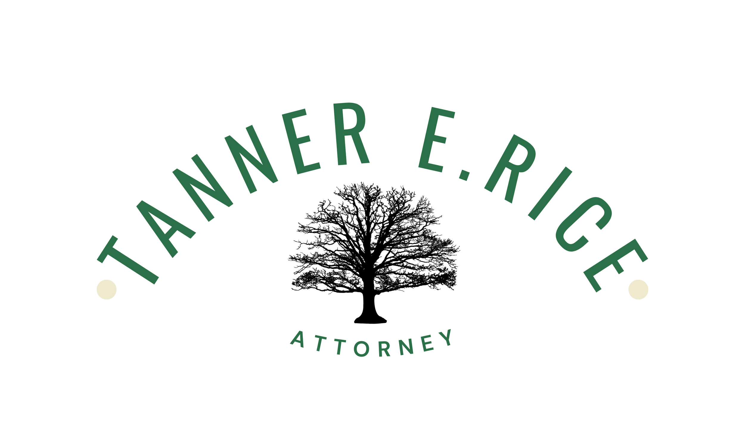 Tanner E Rice Attorney