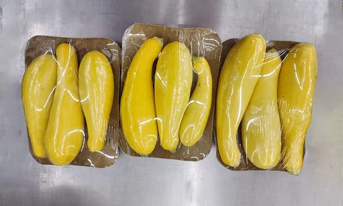 Eco-Friendly Fresh Produce Packaging: Kanbol's Molded Fiber Solutions