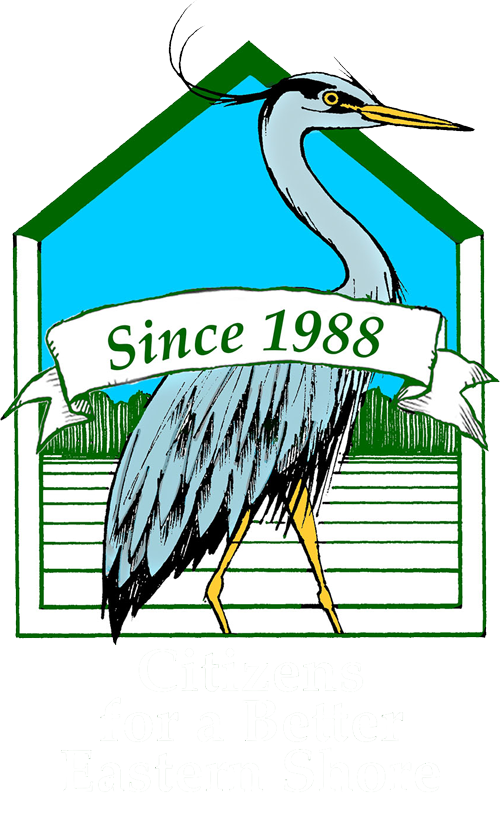 Bike Tour — CBES