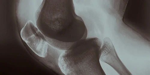 About — Dr Tim Matthews