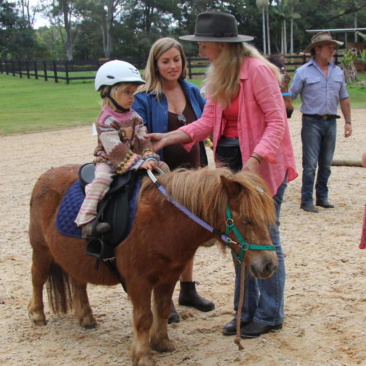 Pony rides — hinterlandhorsesbyronbay.com