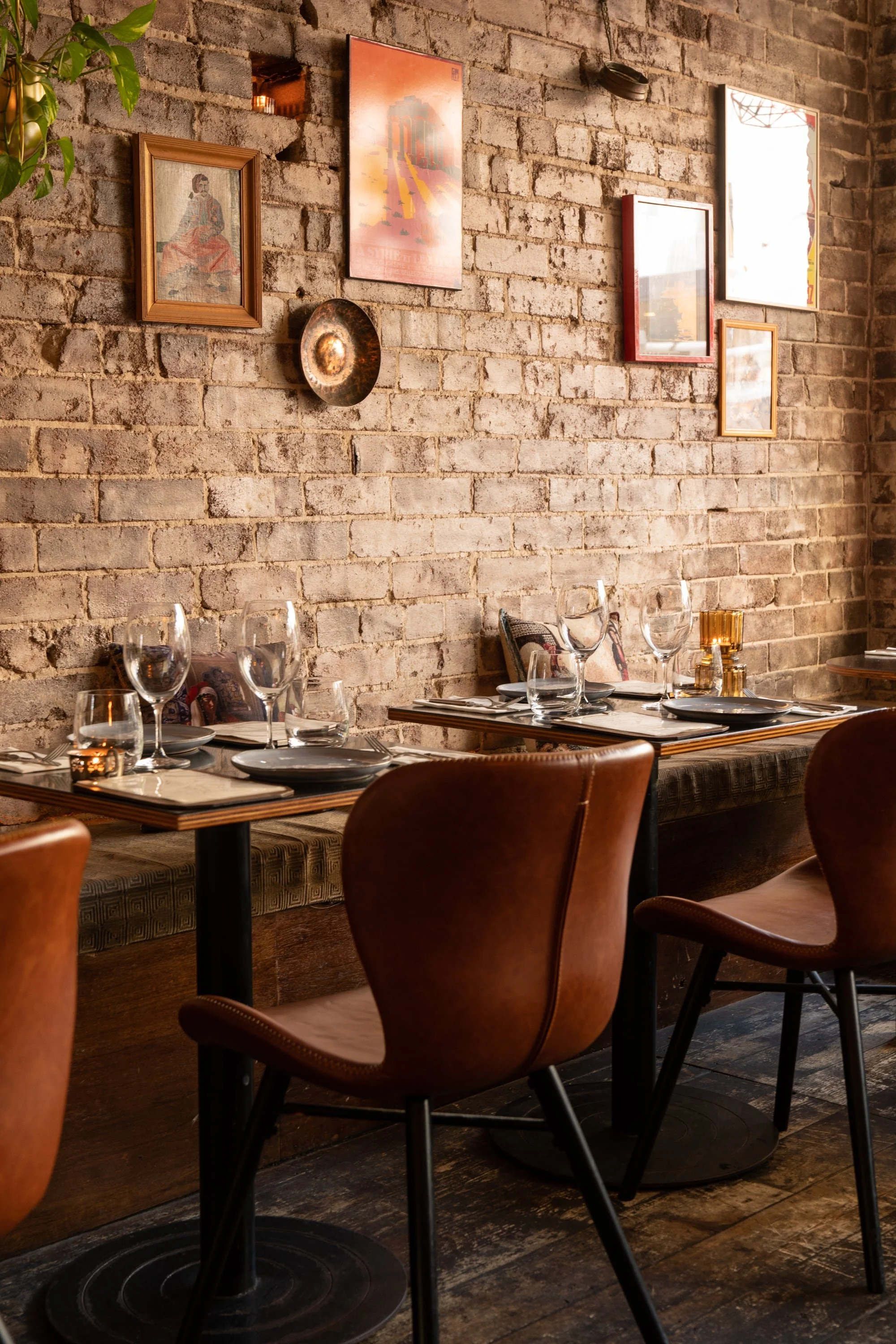 Middle Eastern Restaurant Bondi | Sefa Kitchen Bondi