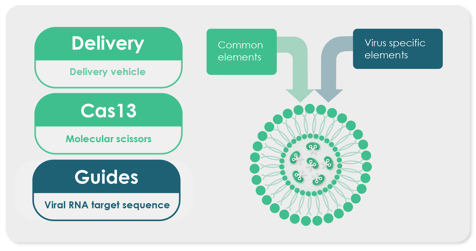 Our Technology — Avocet Bio