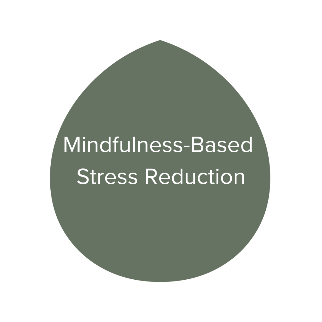 Mindfulness Academy — Flatwater Collective