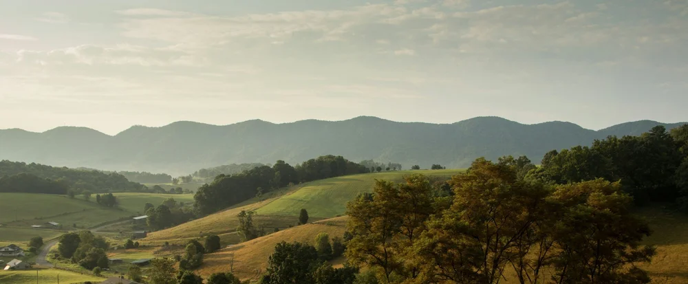 Grantmaking Focus Areas — Anne & Gene Worrell Foundation