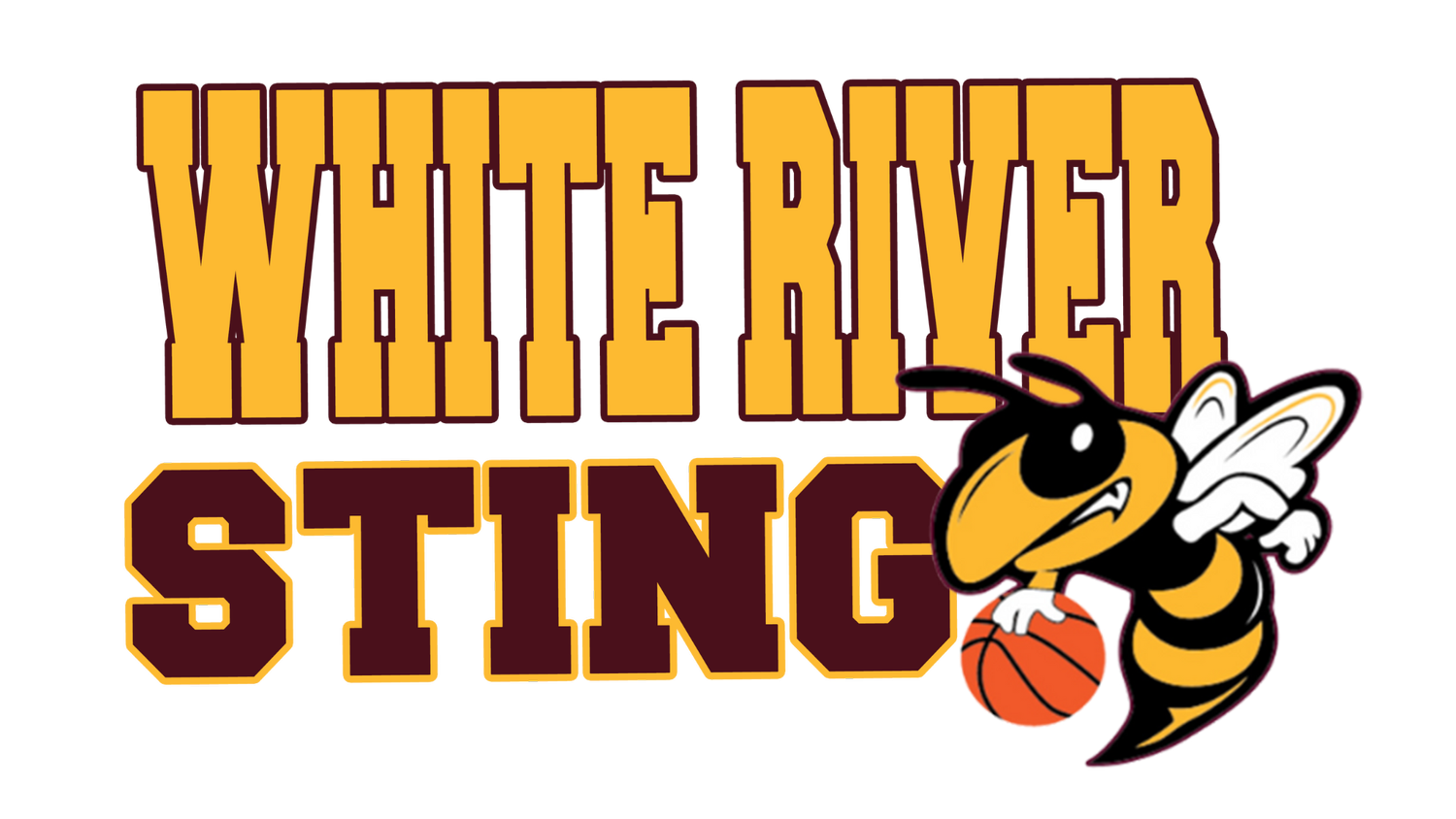 WR Sting Basketball