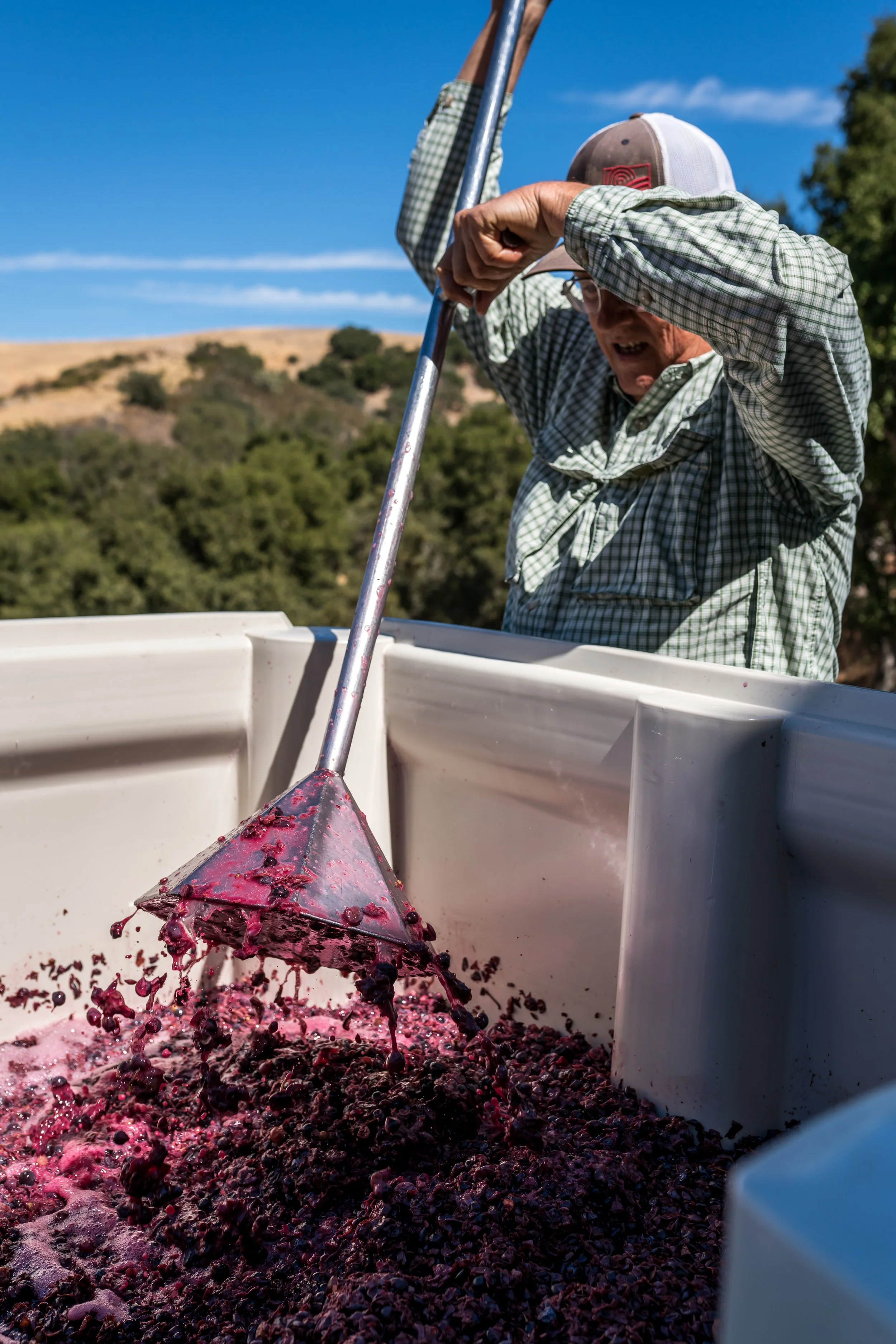 Alta Colina — Alluvial Wine & Spirits