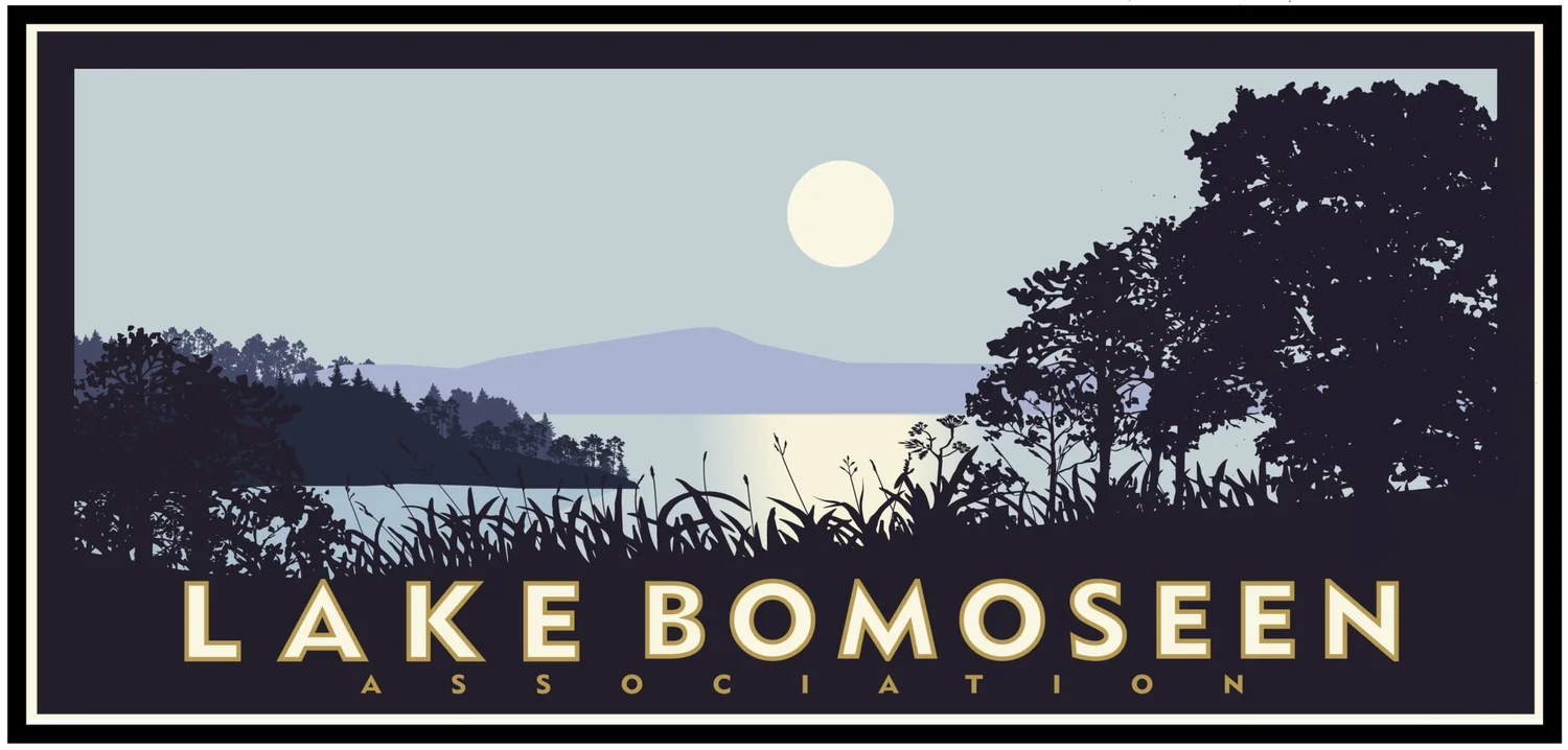 LBA Board of Directors — Lake Bomoseen Association
