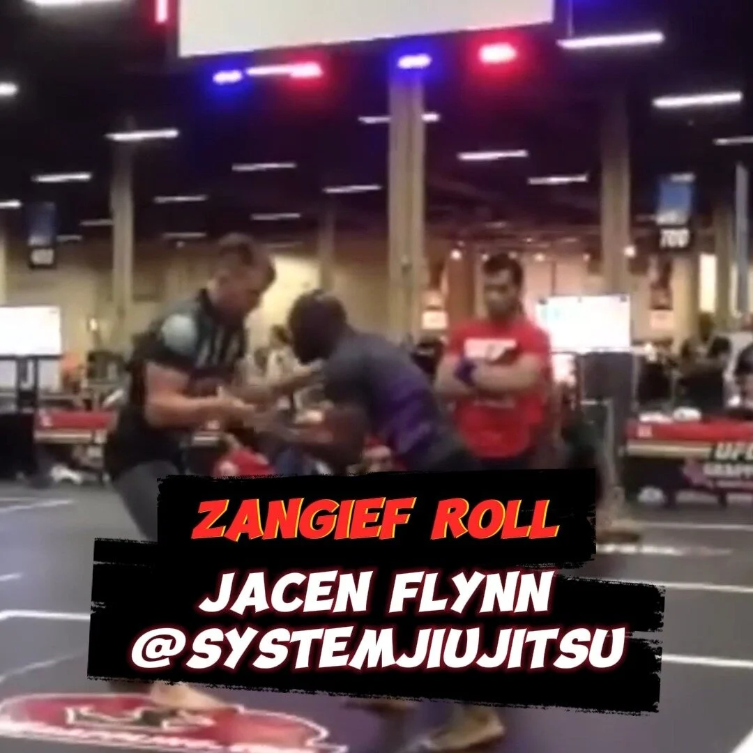 About — System Jiu-Jitsu