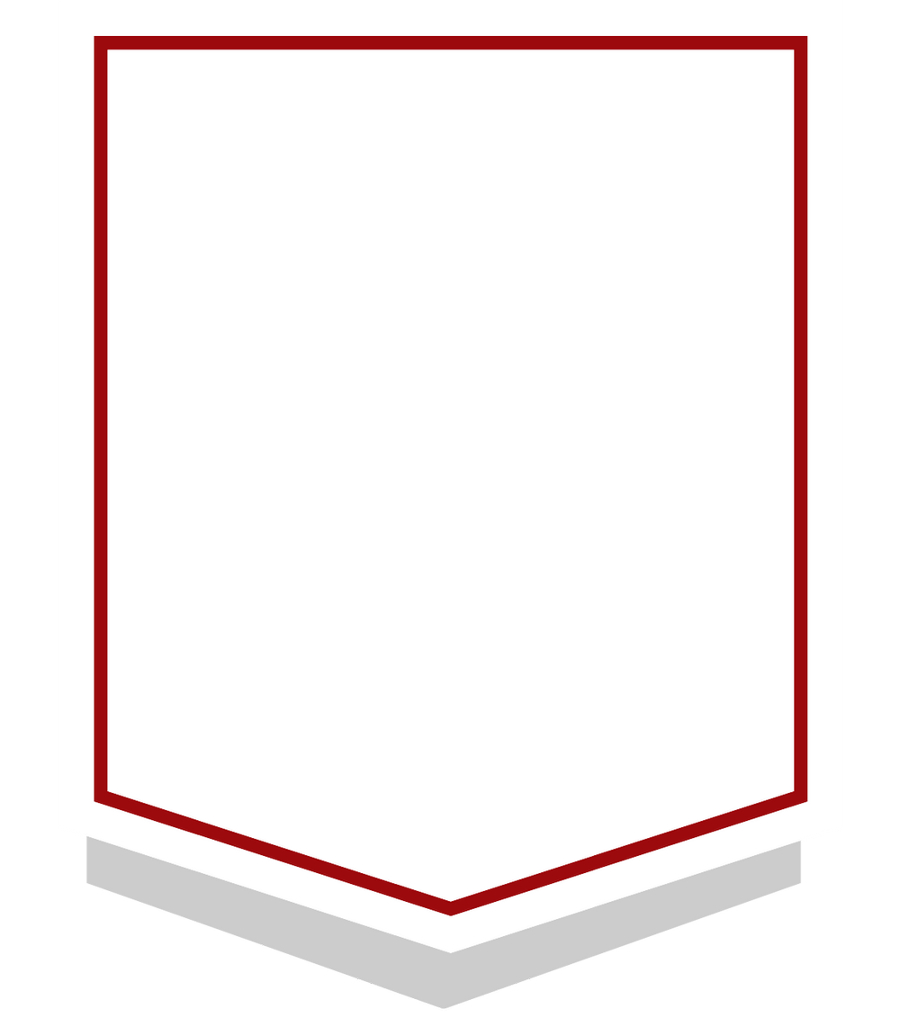 State Banner — National Junior Holstein Association