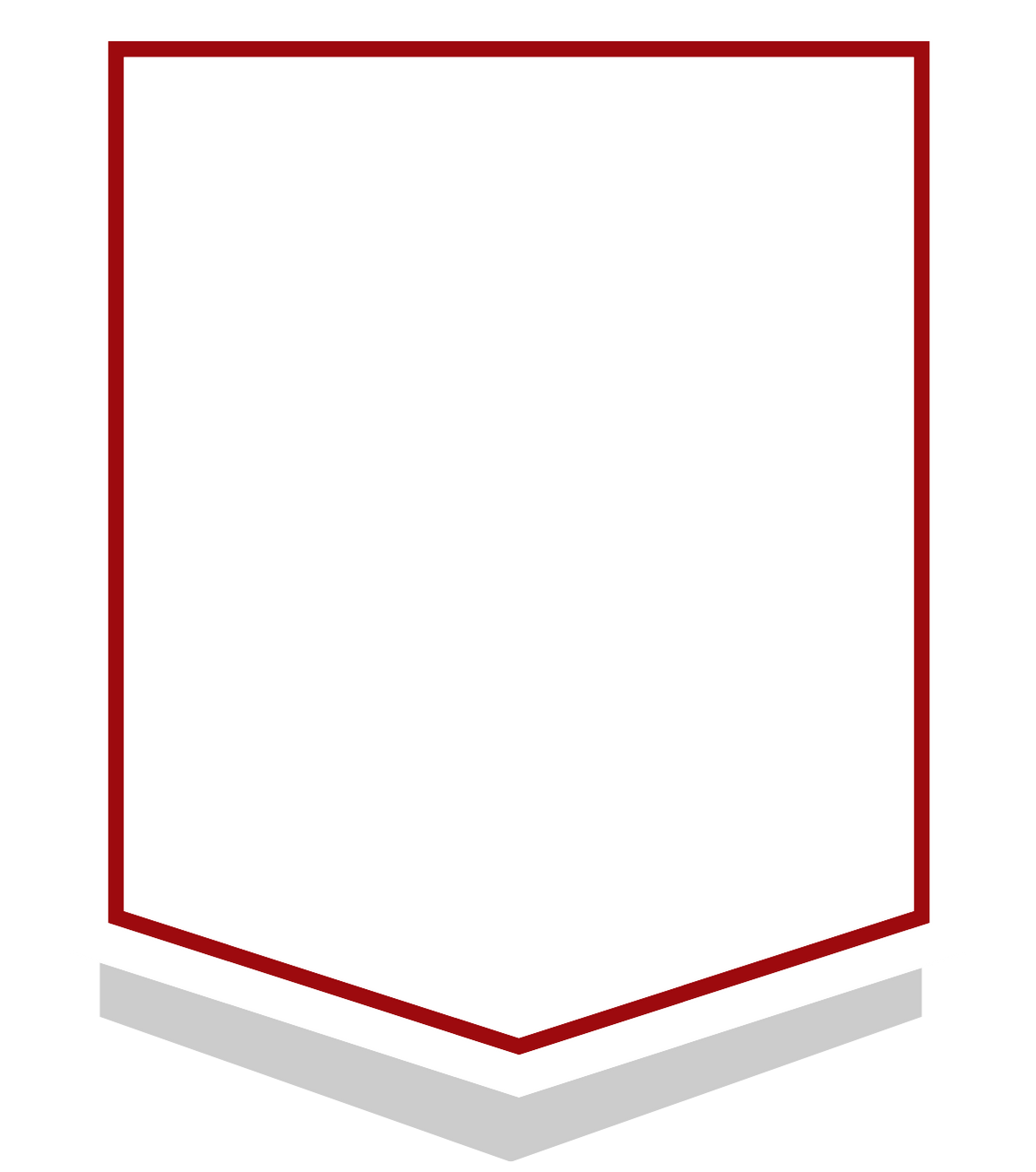 State Banner — National Junior Holstein Association