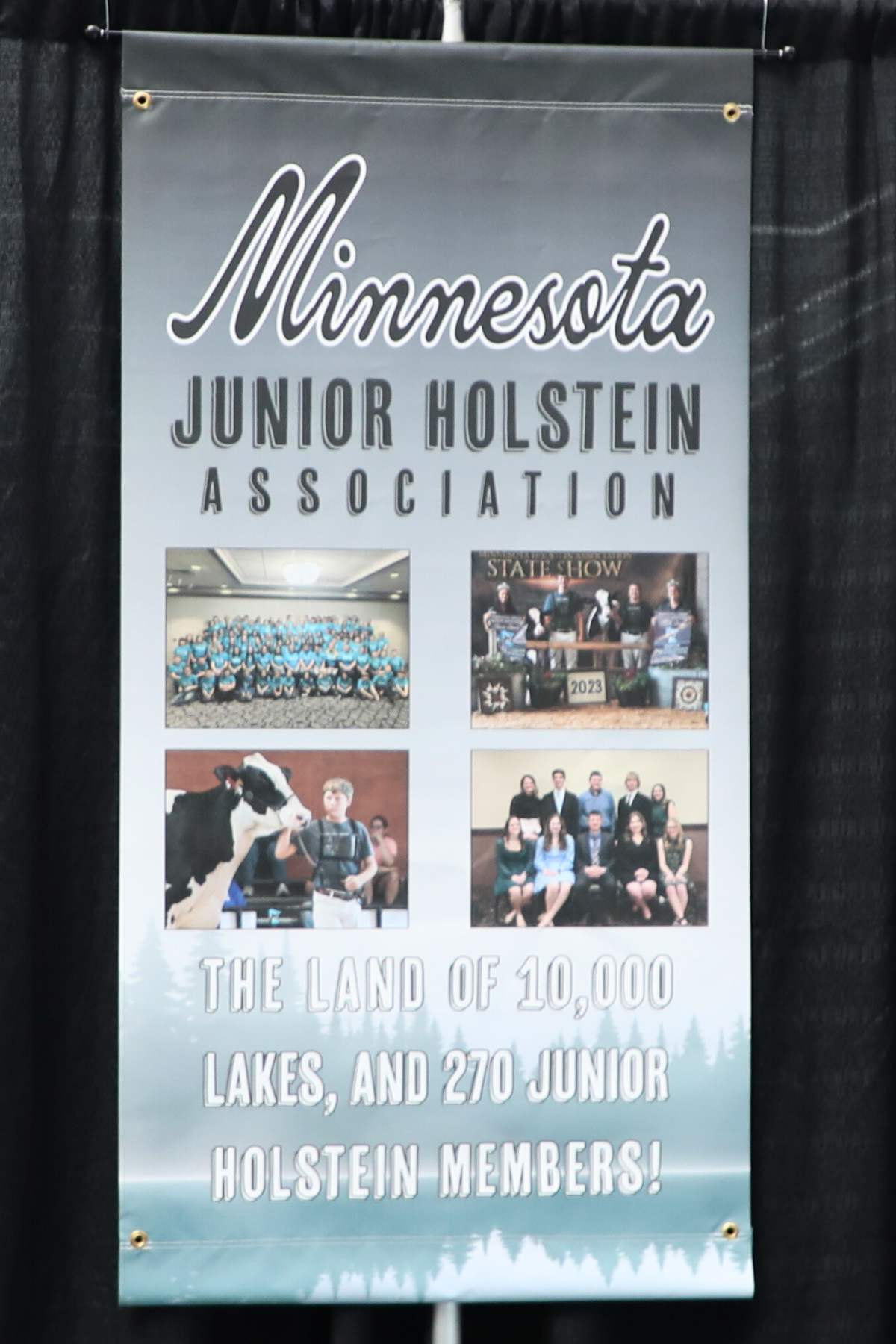 State Banner — National Junior Holstein Association