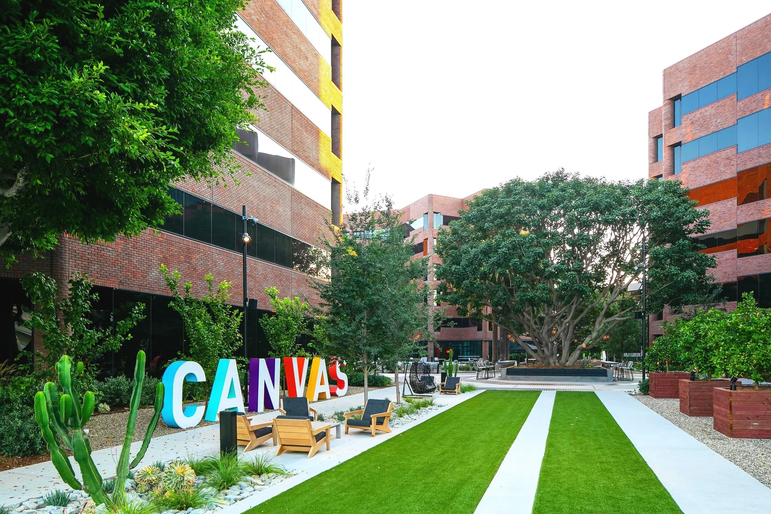 CANVAS