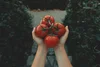 Foods for the Root Chakra — Mind Body Elements