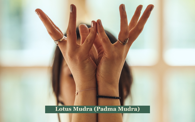 Crown Chakra Mudra — Mind Body Elements