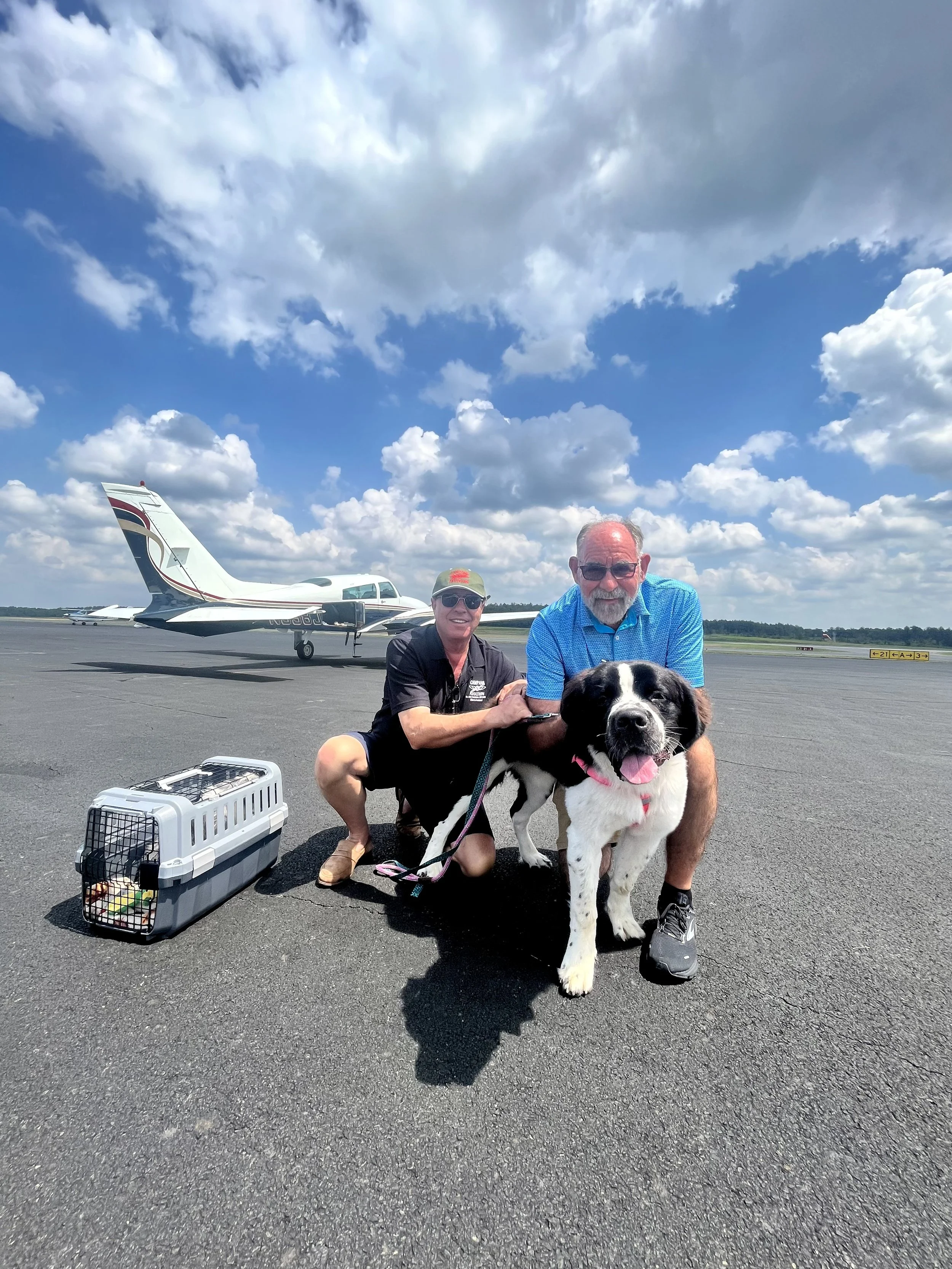 Dog Rescue Flights