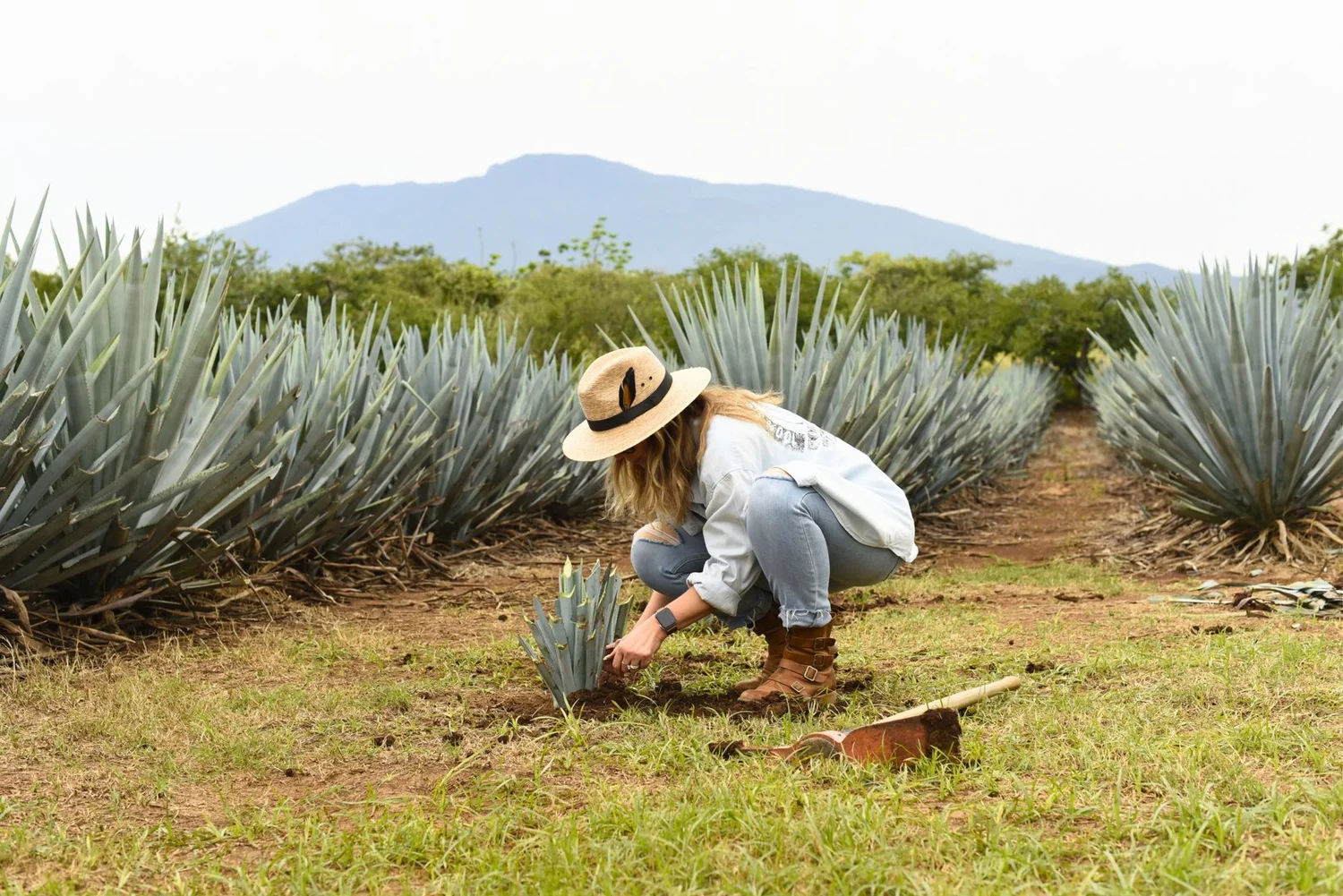 EXPERIENCES — Atanasio Tequila