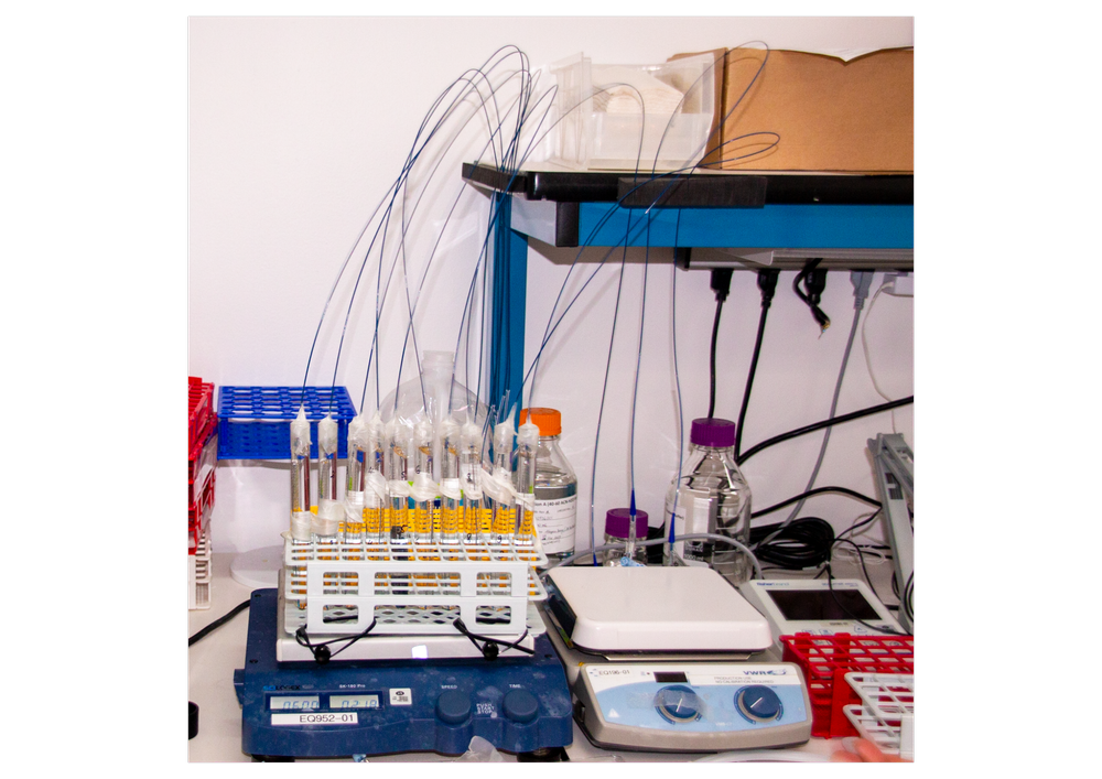 About — Expanse Medical